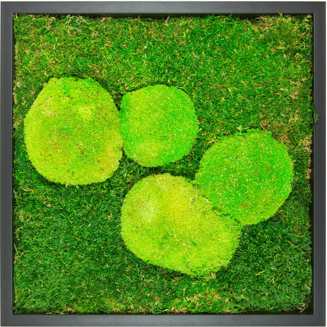 Cadre Végétal - mousse stabilisé - tableau végétal éternel intérieur ...